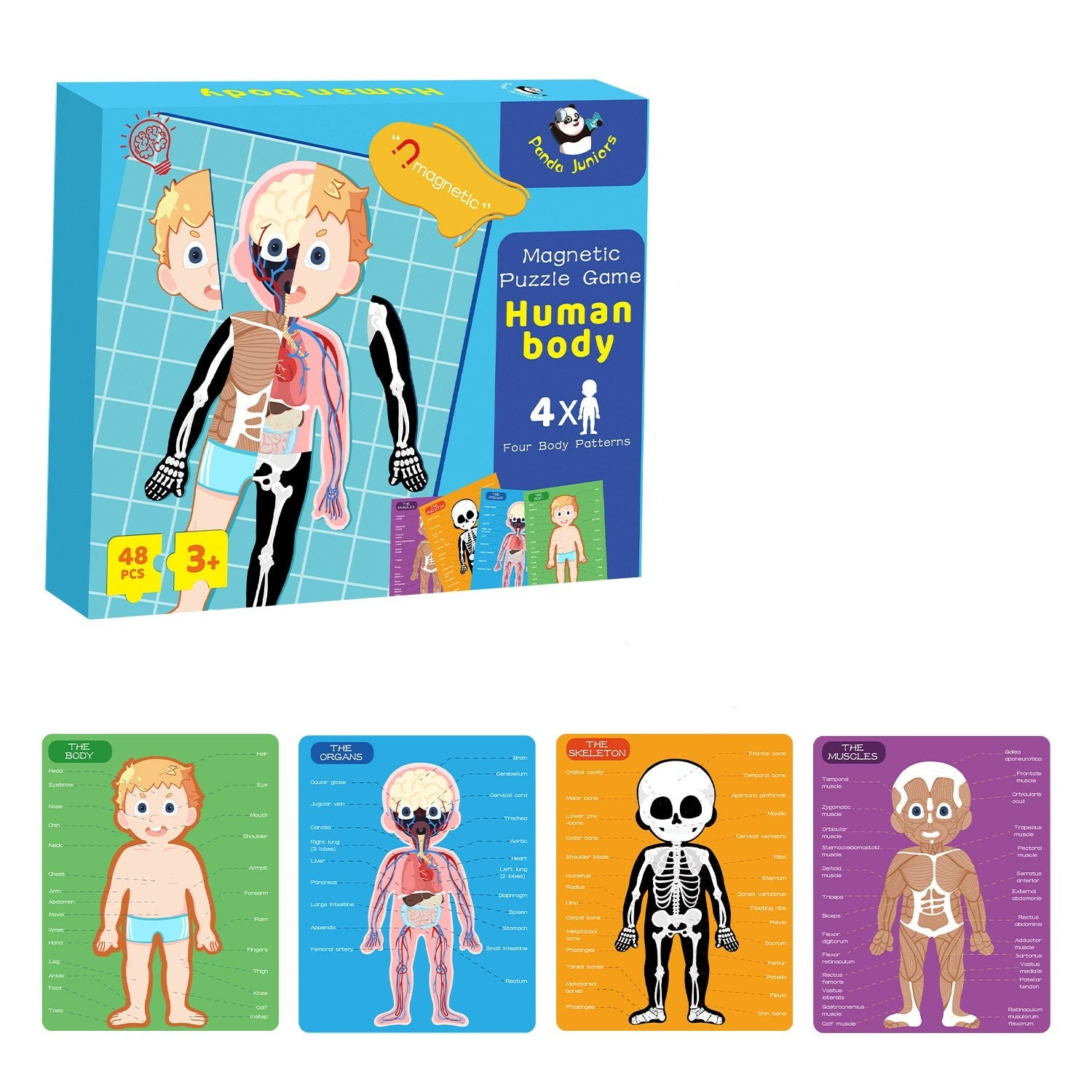 PJ PJ008-1 Magnetic Puzzle Game -Human Body 49700293